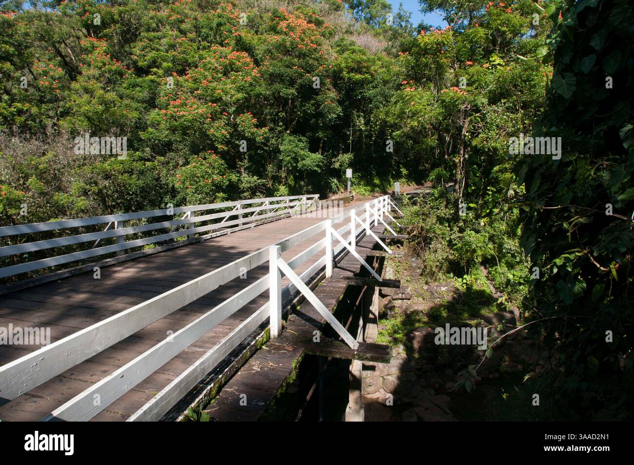 Jan 6, 2015 - Hawaii, U.S. - Coastal views from the Panoramic Route ...