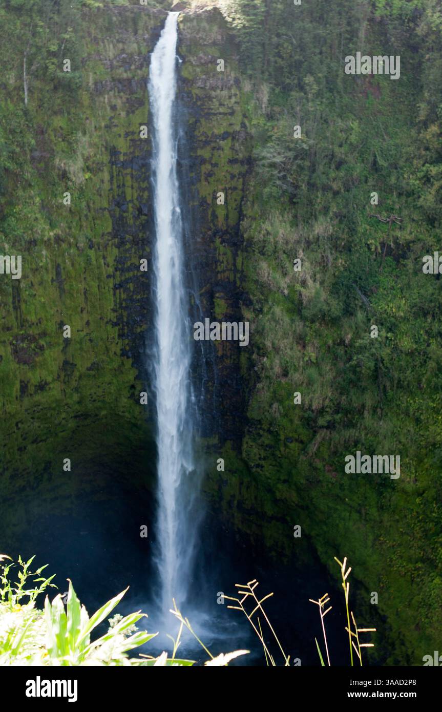 Jan 6, 2015 - Hawaii, U.S. - Akaka waterfall at Akaka Falls State Park ...