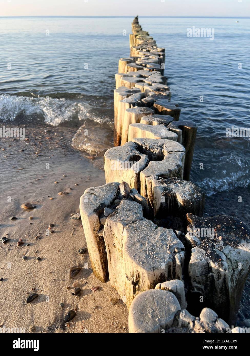 Buhne Buhne am Strand von Kühlungsborn / breakwaters in Kuehlungsborn ...