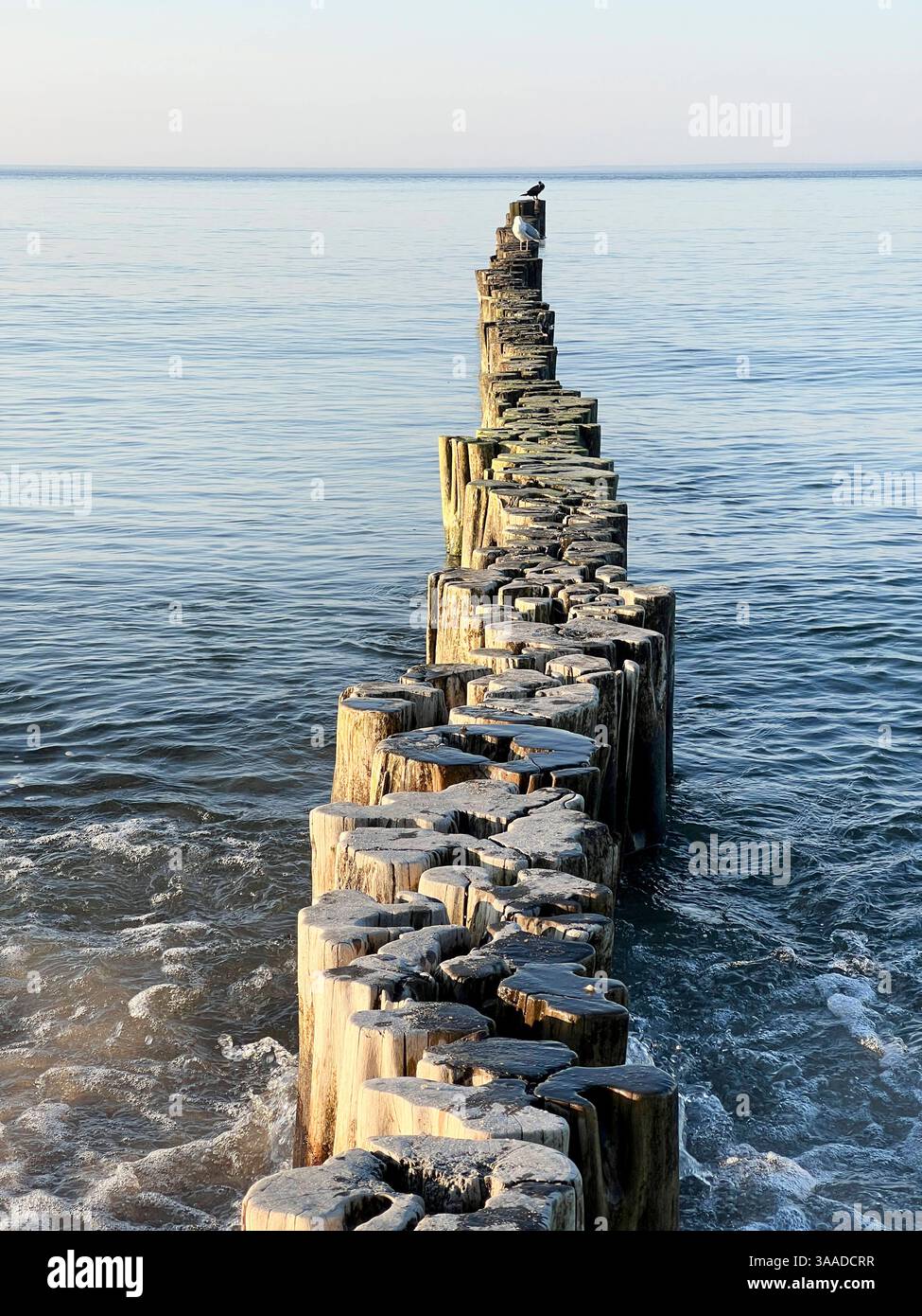 Buhne Buhne am Strand von Kühlungsborn / breakwaters in Kuehlungsborn ...