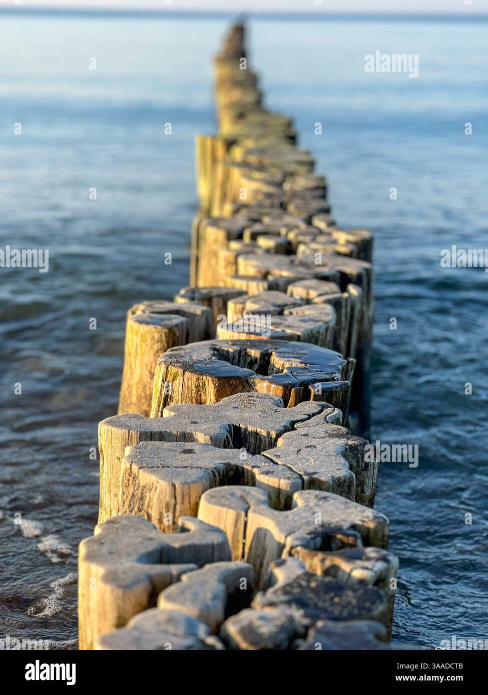 Buhne Buhne am Strand von Kühlungsborn / breakwaters in Kuehlungsborn ...