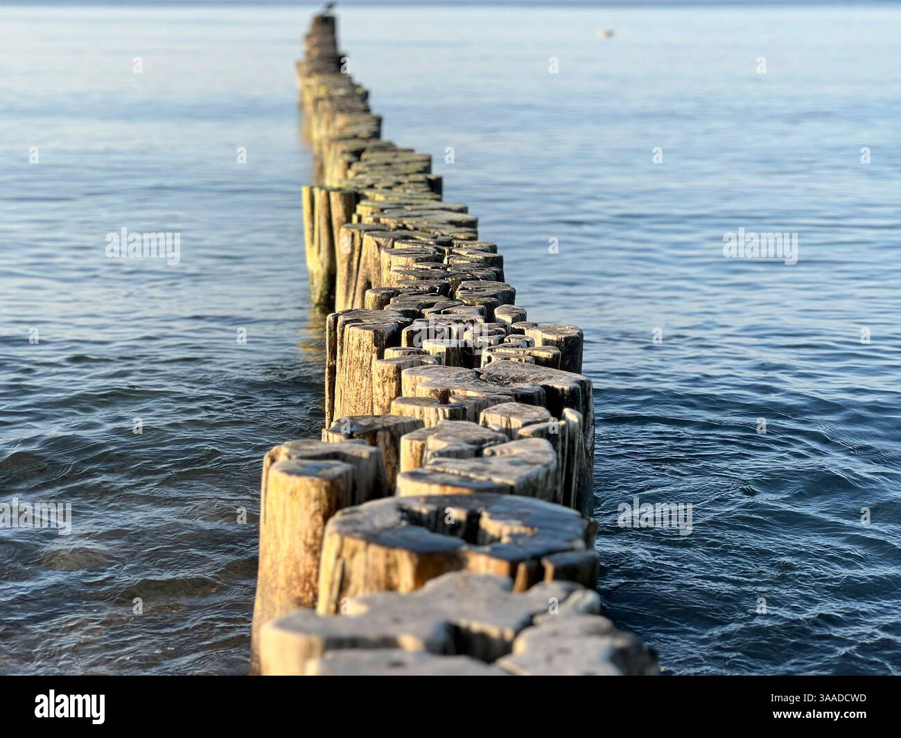 Buhne Buhne am Strand von Kühlungsborn / breakwaters in Kuehlungsborn ...
