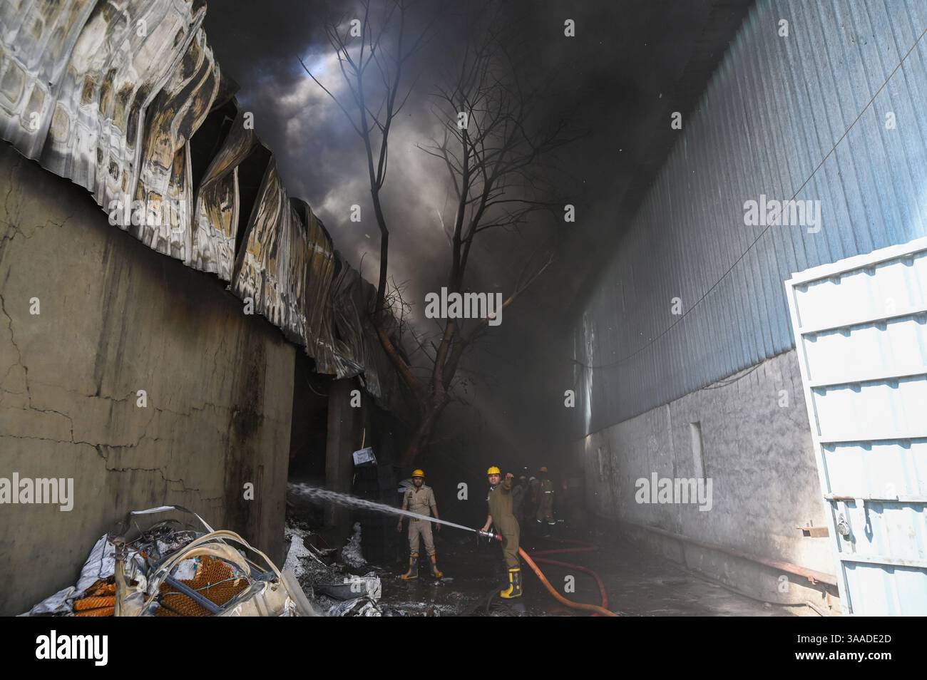 Greater Noida, India. 31st Mar, 2025. GREATER NOIDA, INDIA - MARCH 31: A massive fire broke out ...