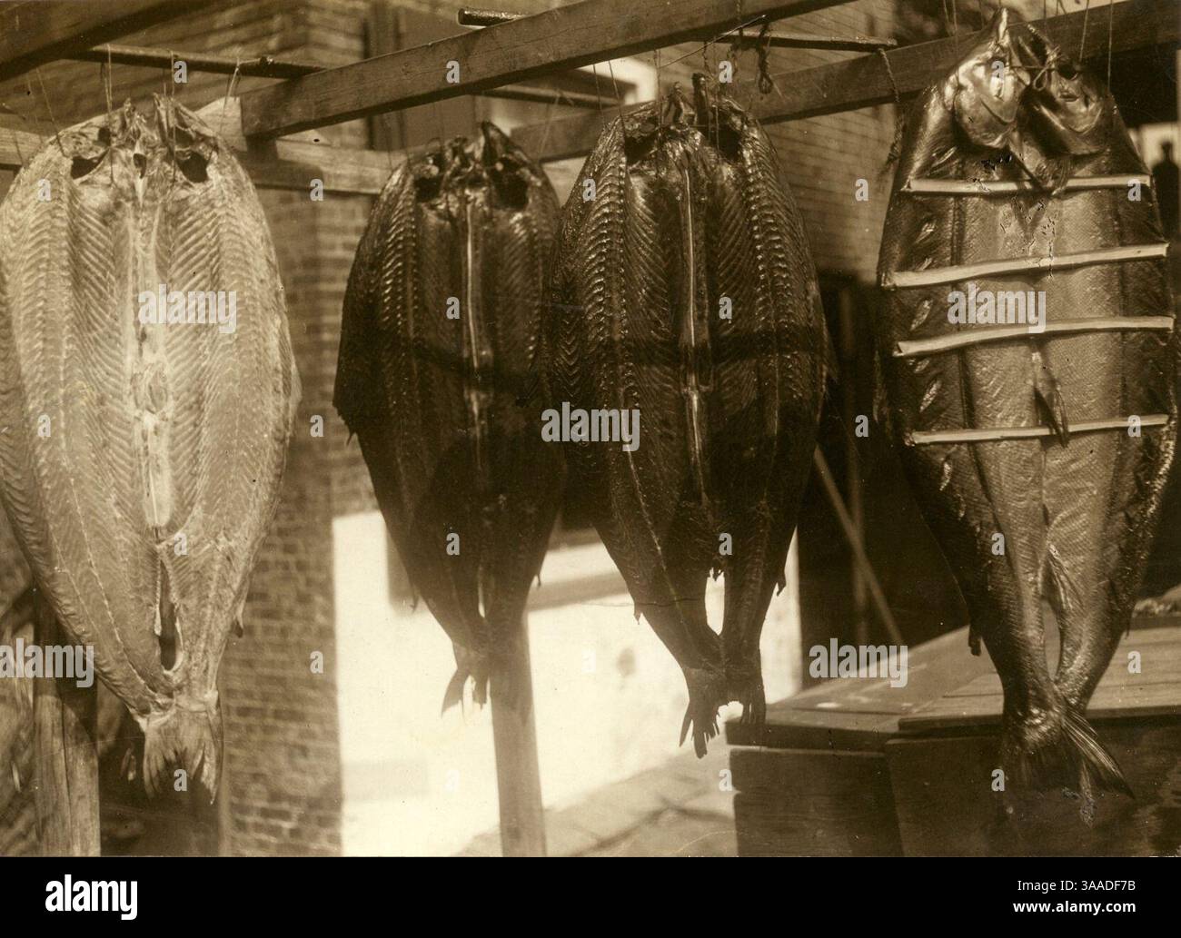 In de Waal gevangen zalmen (hangen in de rokerij), Nederland, 1918 ...