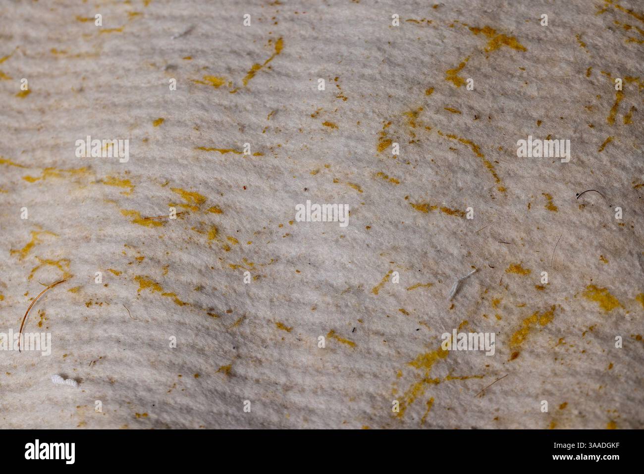 old used mattress in yellow glue, a part of the fabric from which the ...