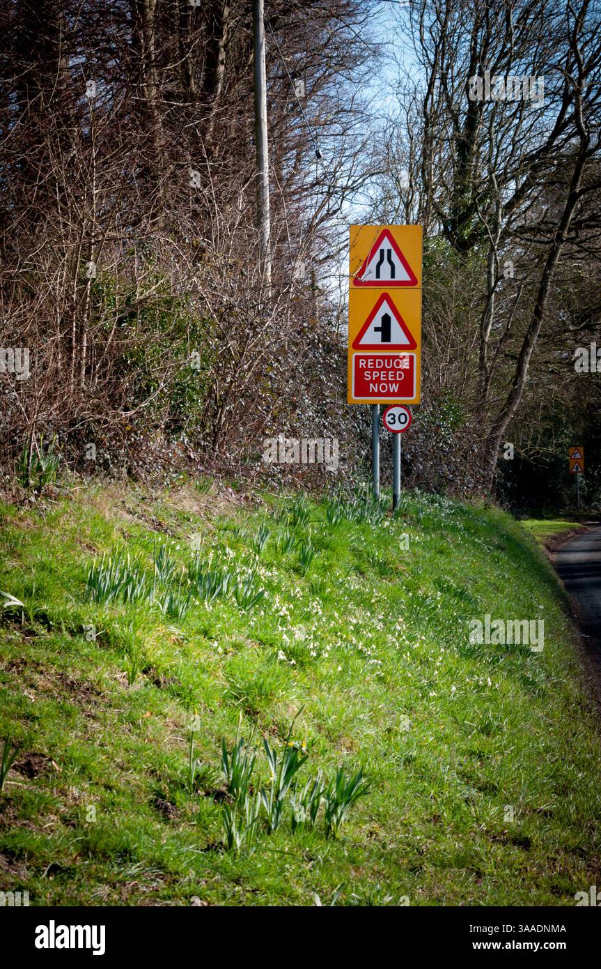 Composite sign on roadside verge where snowdrops are growing. Signage ...