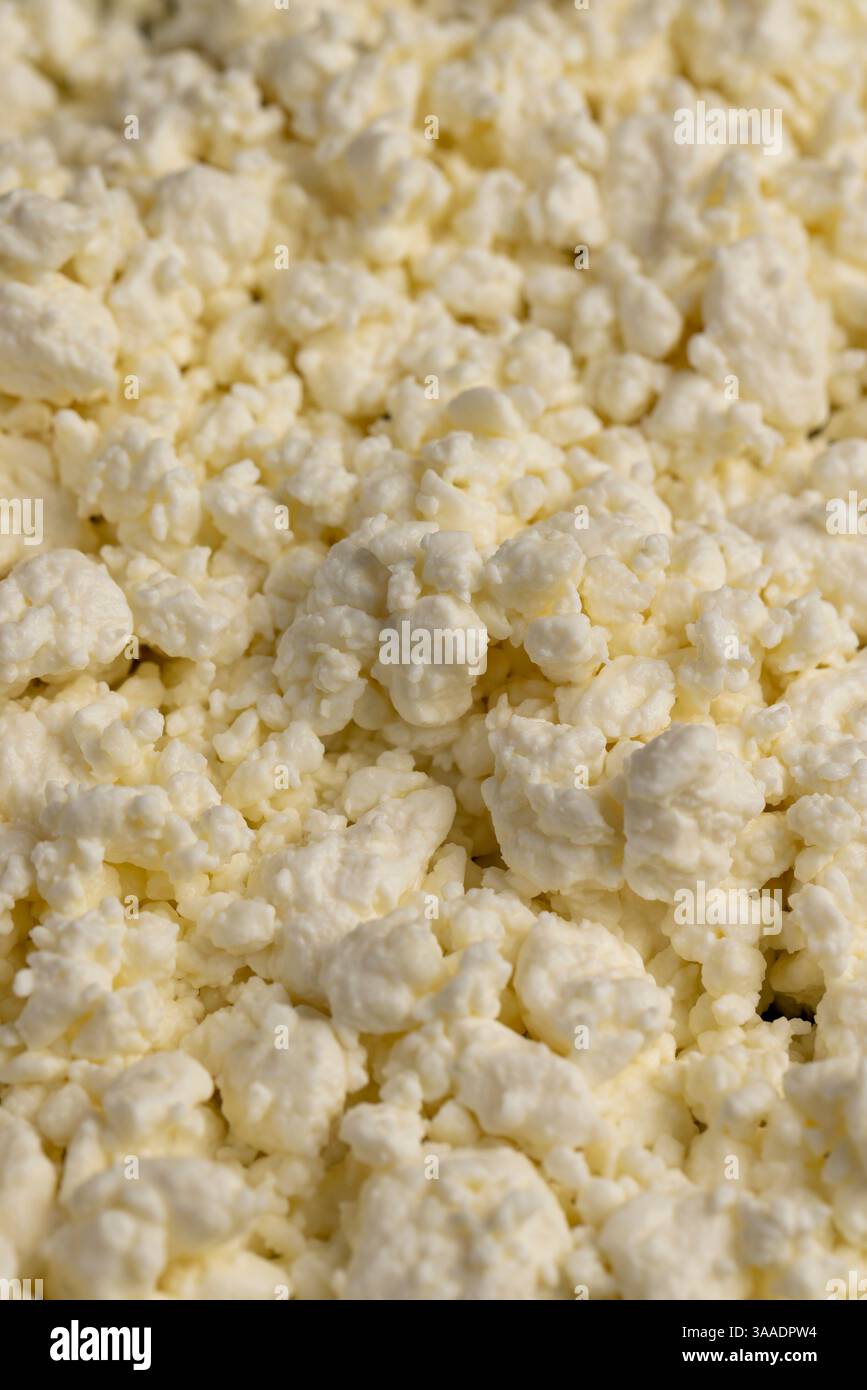 cottage cheese in the form of lumps, fermented milk product cottage ...