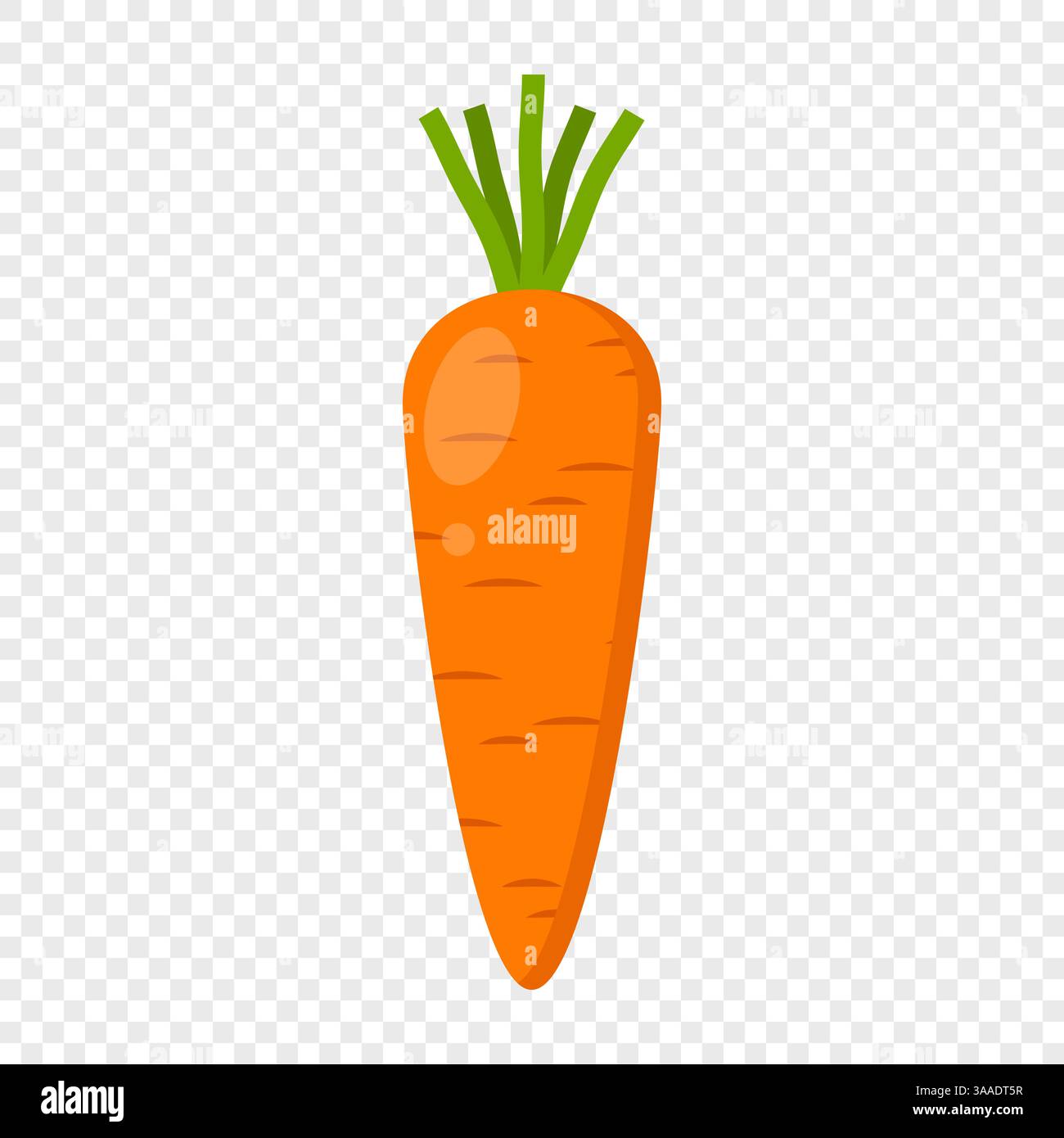 Illustration carrot plant top Stock Vector Images - Alamy