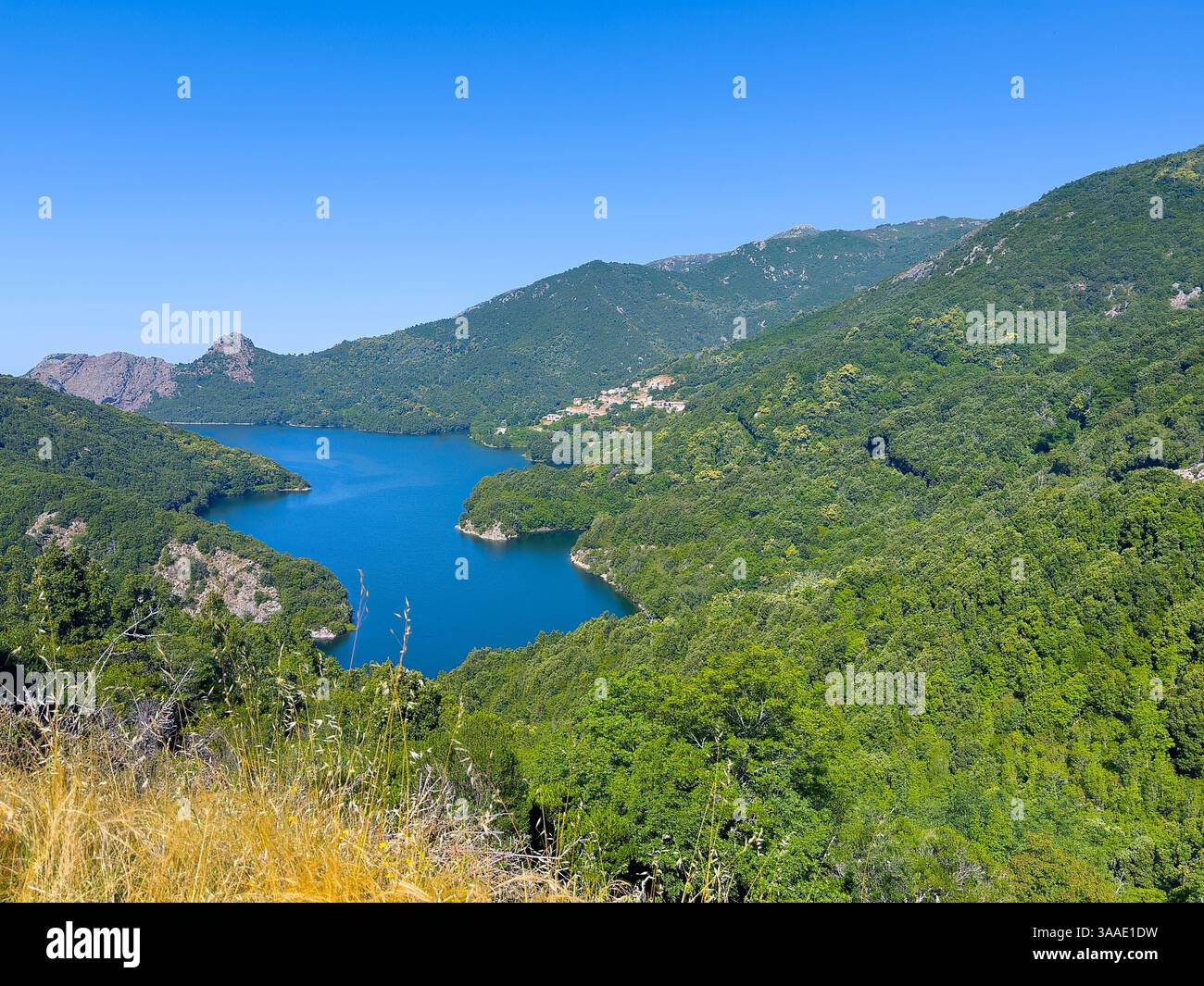 Ocana, Corsica, France - July 8, 2024: Green mountain landscape with ...