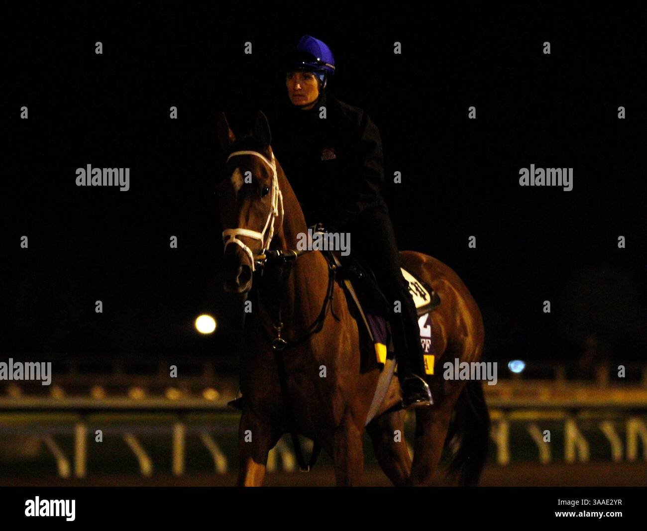 Eclipse thoroughbred partners hi-res stock photography and images - Alamy