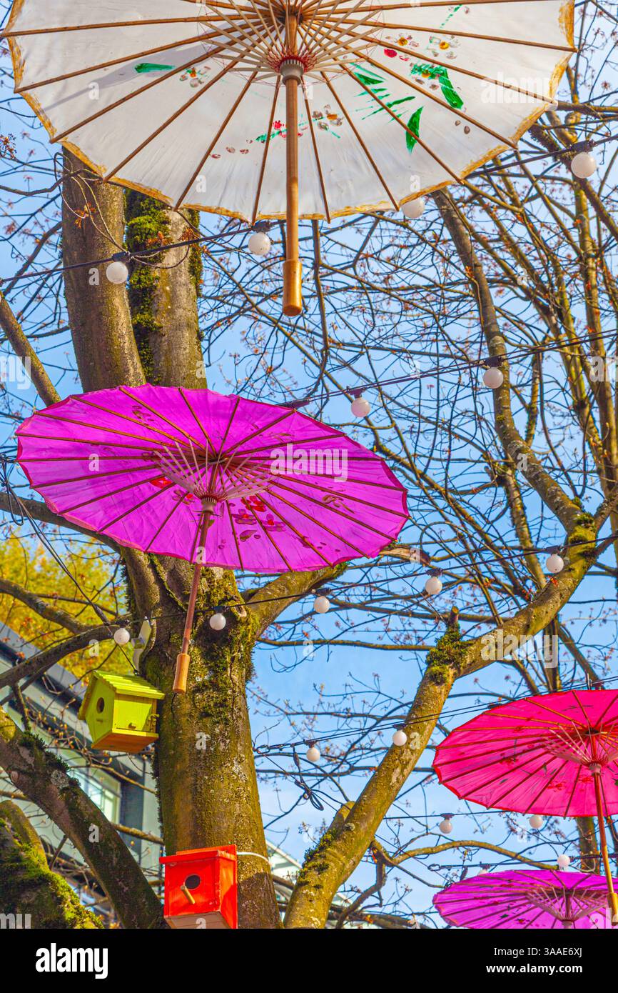Decorative parasols in Yaletown Vancouver Canada Stock Photo - Alamy