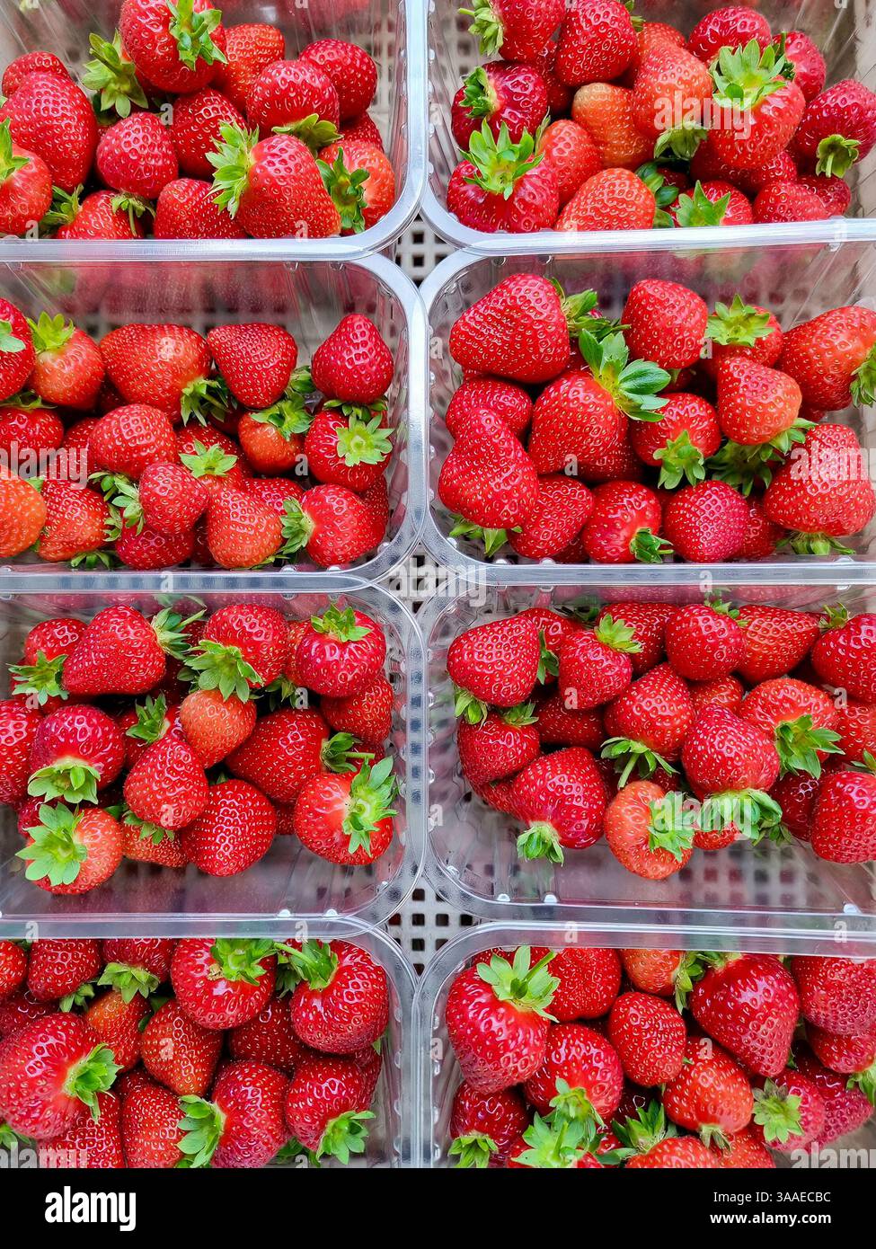 Juicy strawberries arranged in containers hi-res stock photography and ...