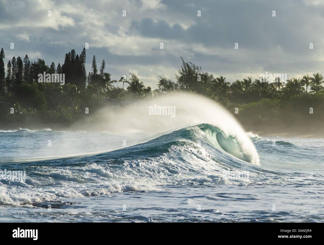 Windswept crashing waves meet the sand at Haena beach on north coast of ...