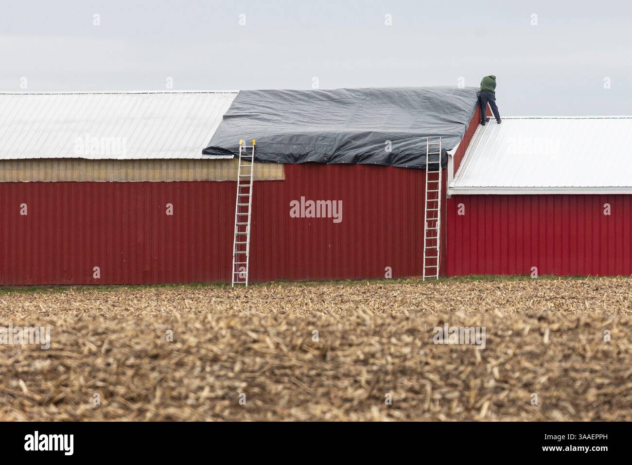 A person assessing a barn roof that was damaged during a severe storm ...