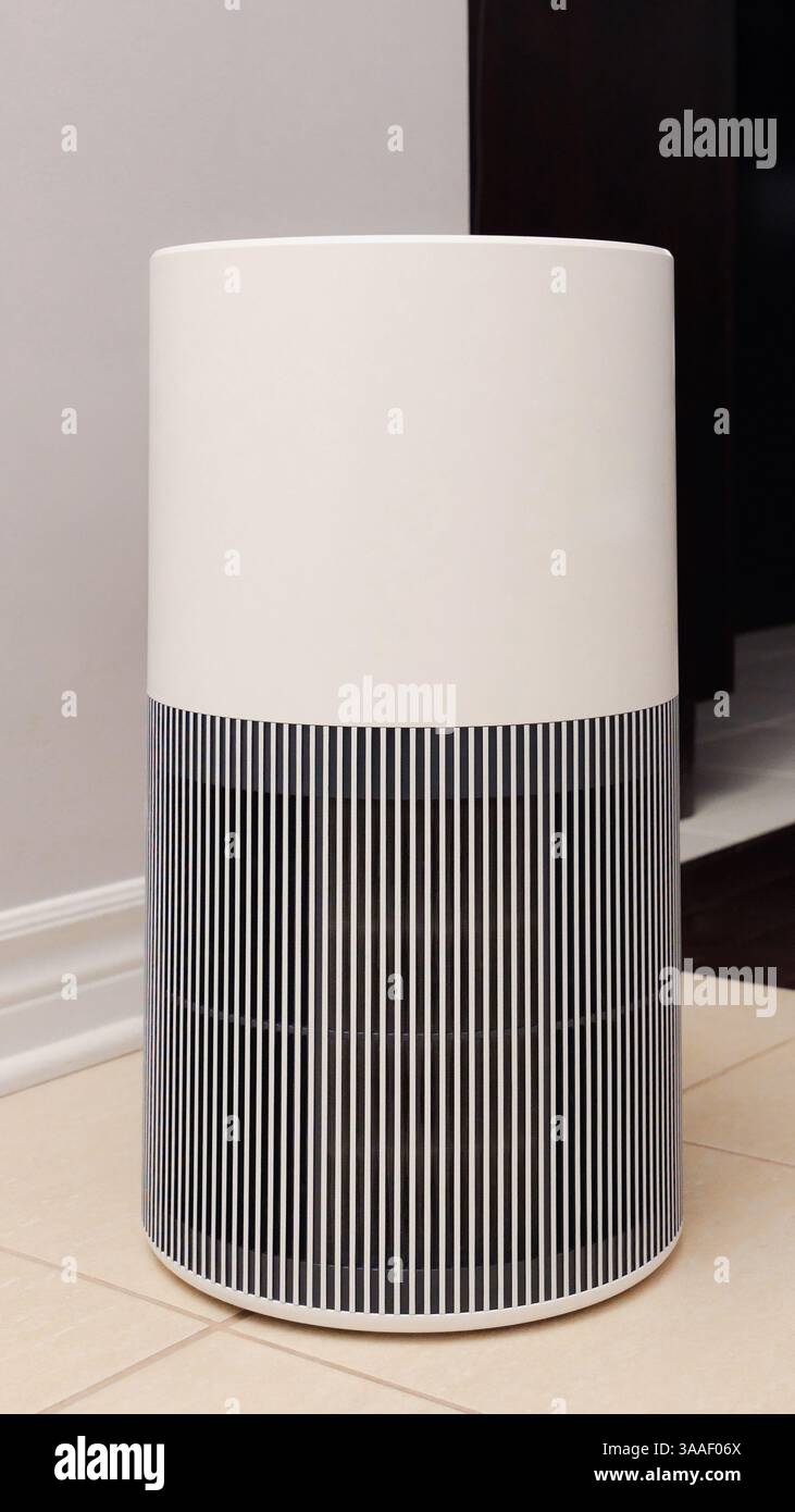 Tall round air purifier with a black top fan and a white body on a tile ...