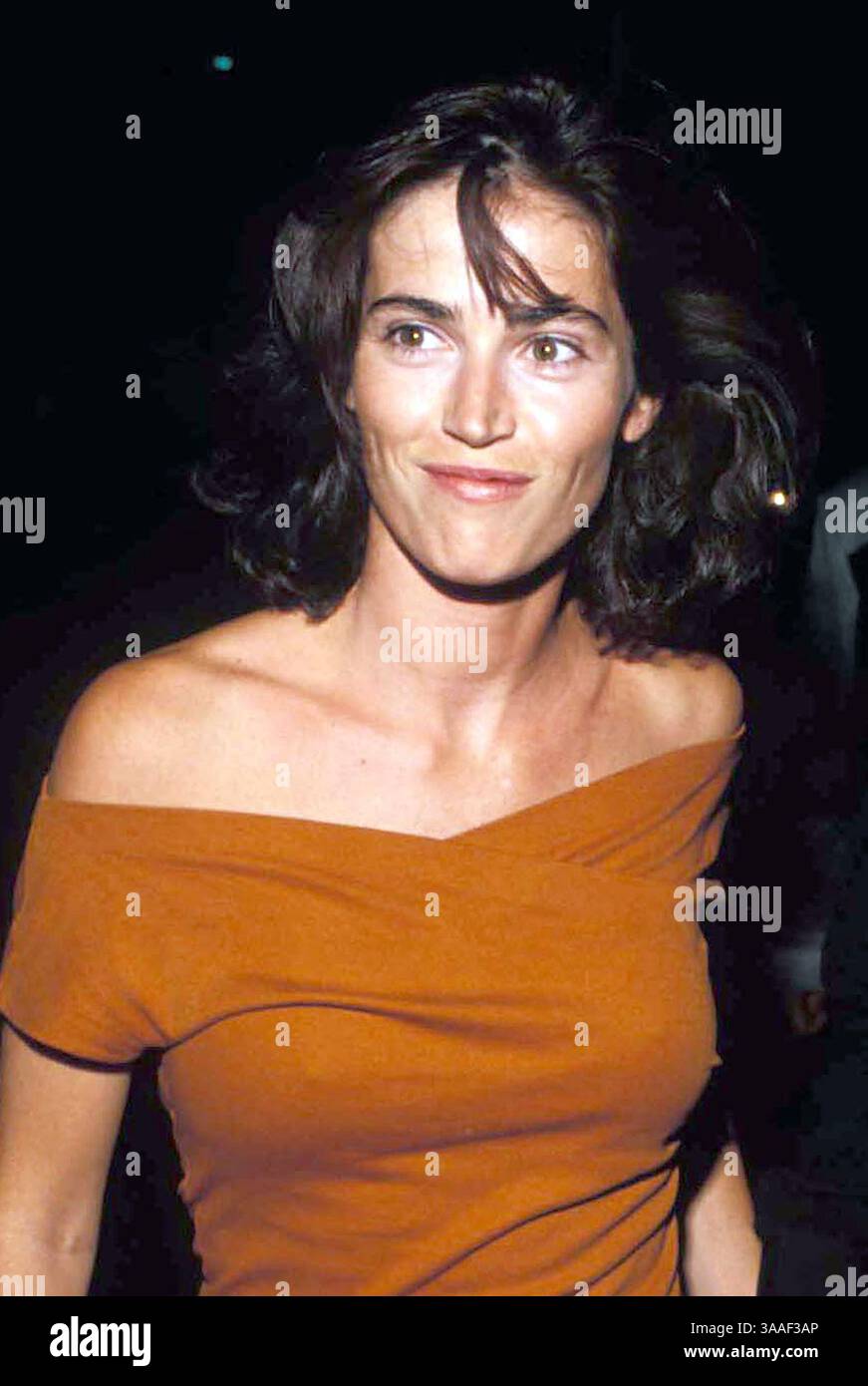 **FILE PHOTO** Actress Kim Delaney Arrested For Alleged Felony Assault ...