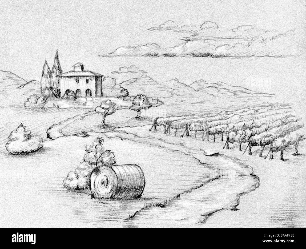 Rural landscape with vineyard and ranch. Traditional illustration on ...