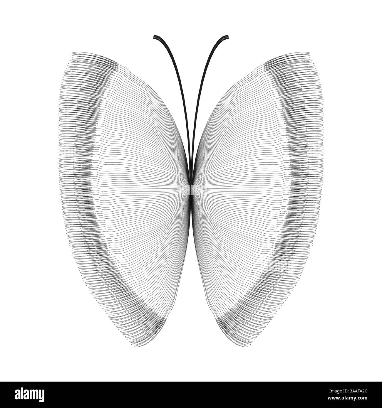 Abstract butterfly shape. Linear symmetry illustration. Elegant winged ...