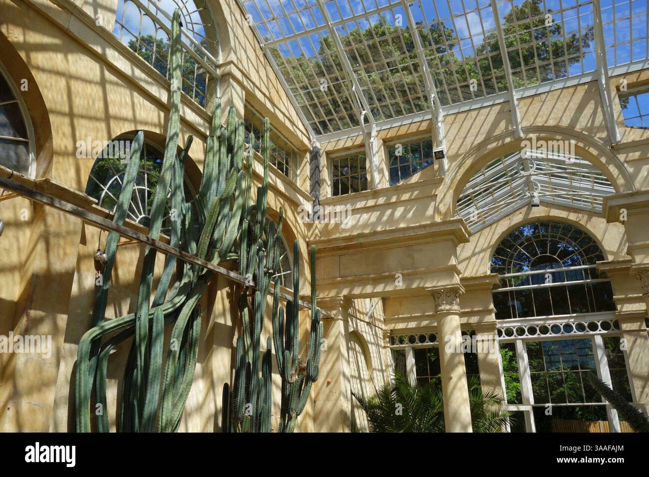 Interior - Great Conservatory - Syon House - London, UK Stock Photo - Alamy