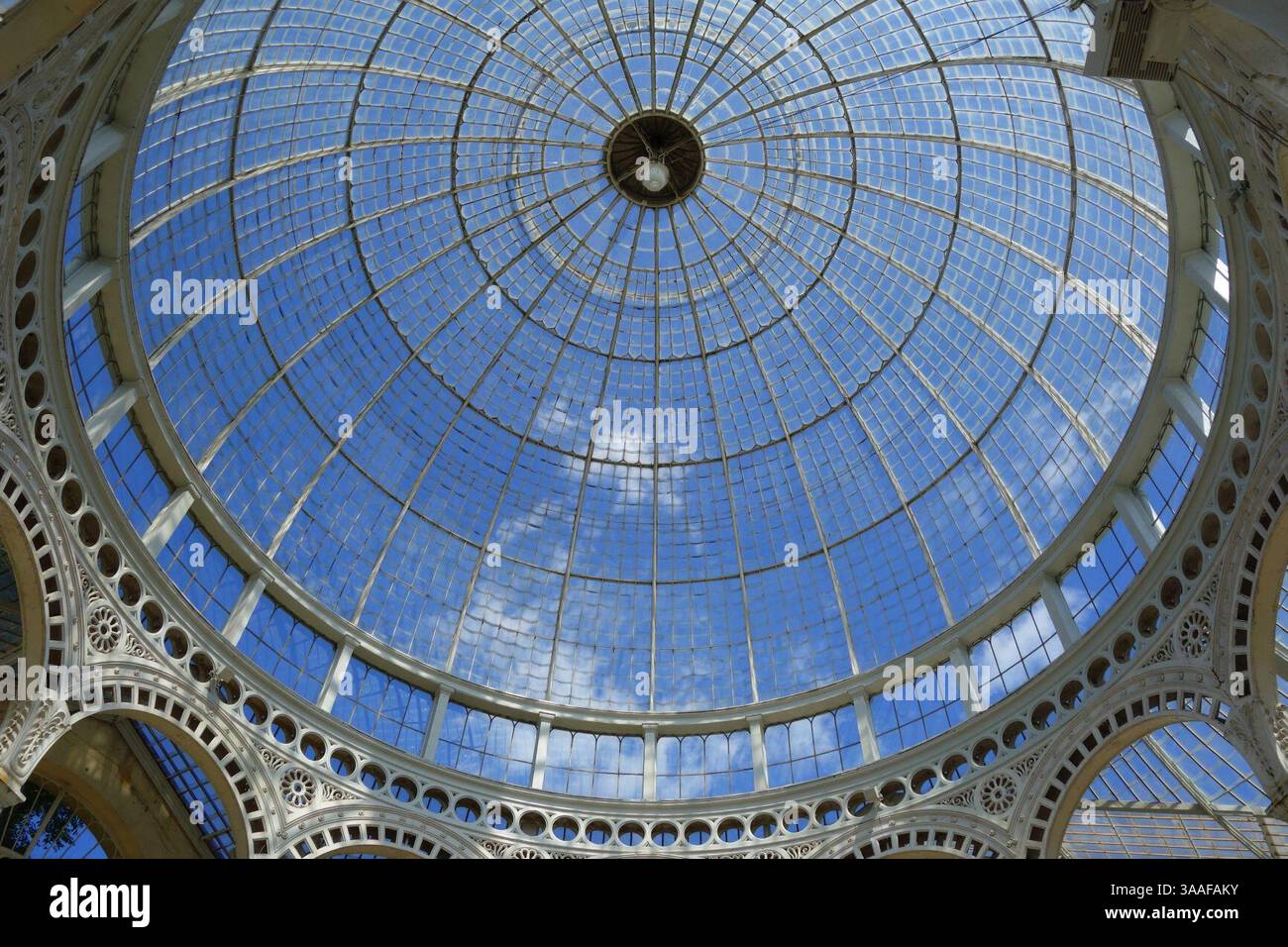 Interior - Great Conservatory - Syon House - London, UK Stock Photo - Alamy