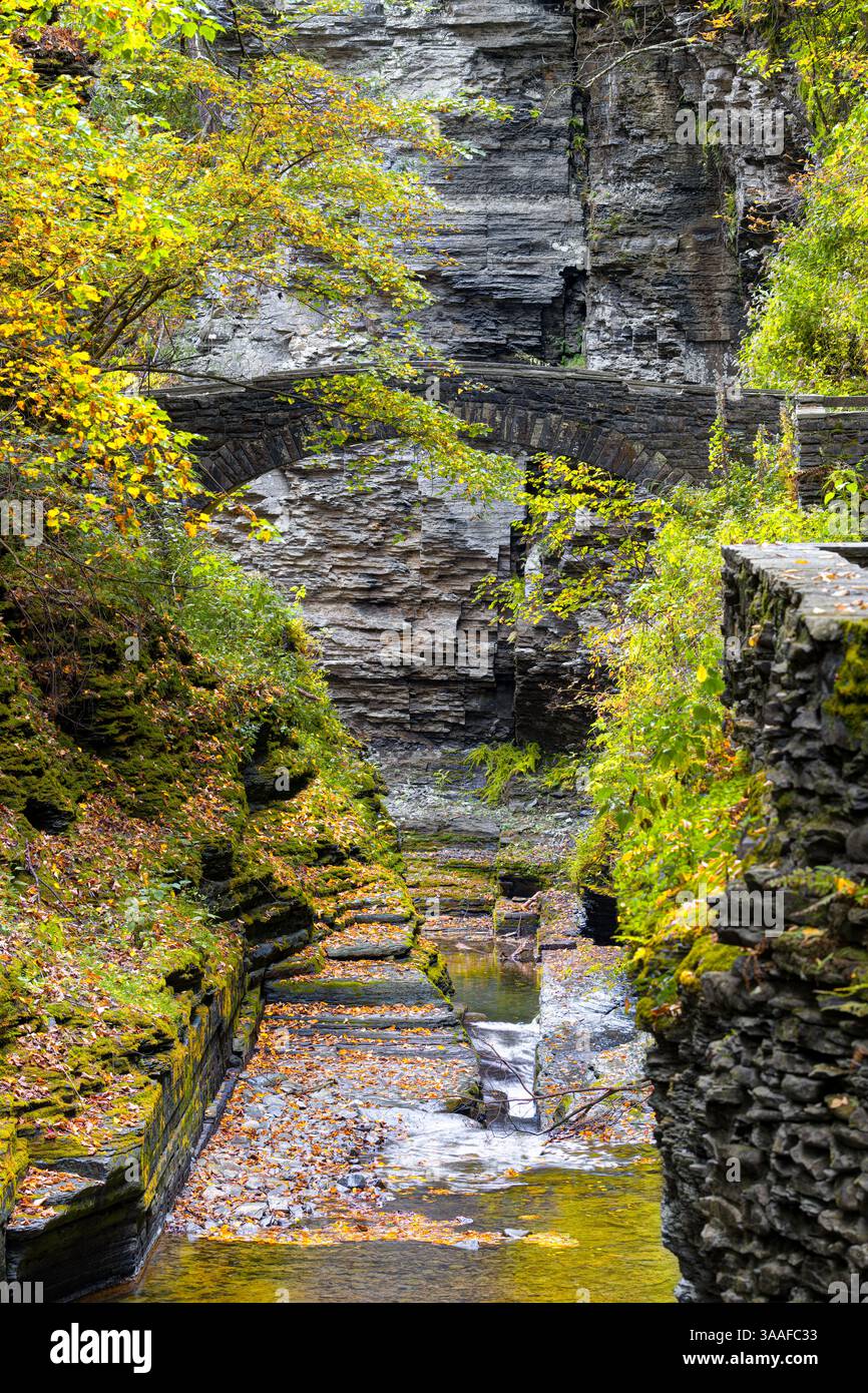 Enfield Gorge, Robert H. Treman State Park, Finger Lakes, New York ...