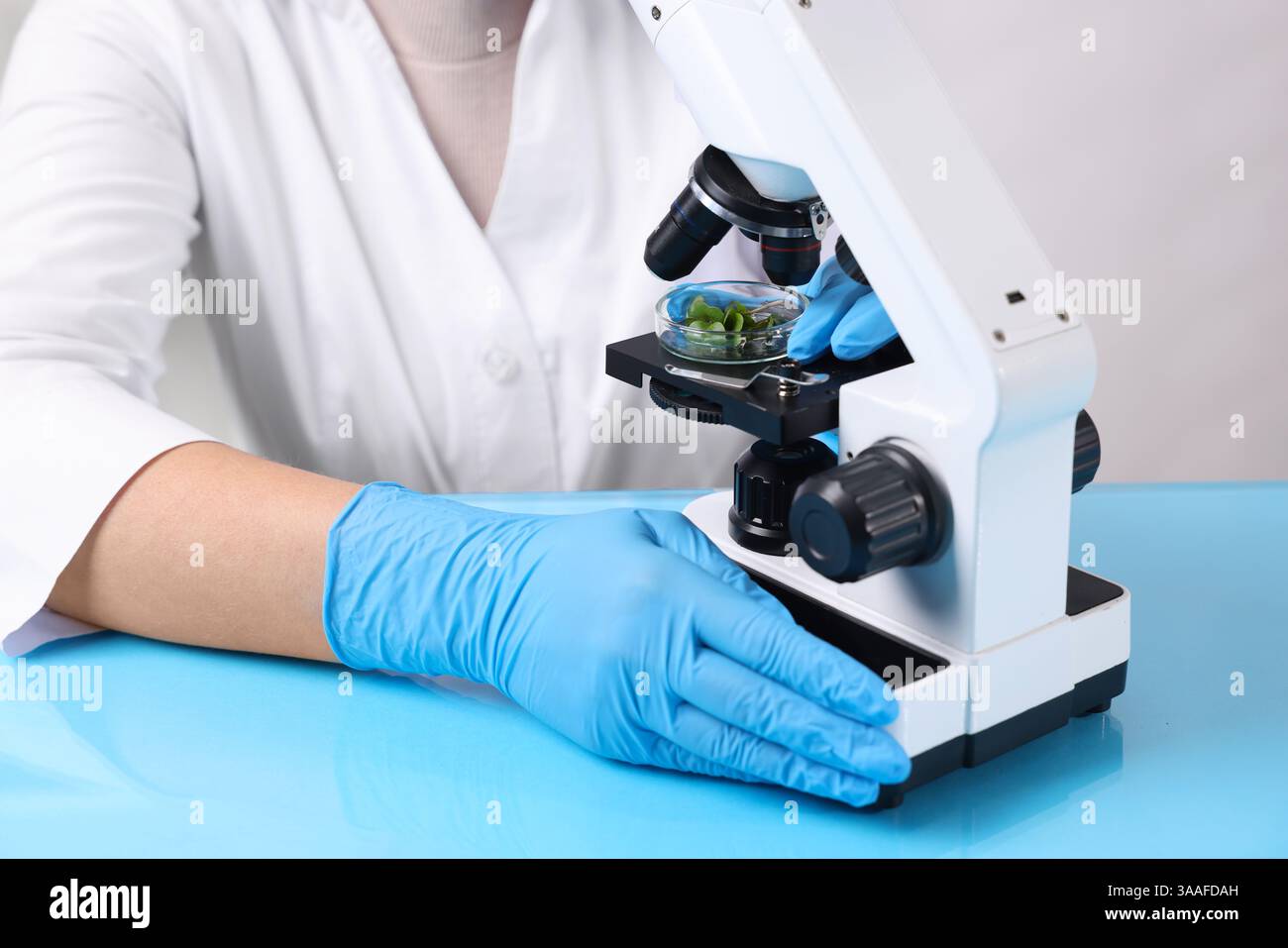 Biochemistry. Scientist looking at plants with microscope in laboratory ...