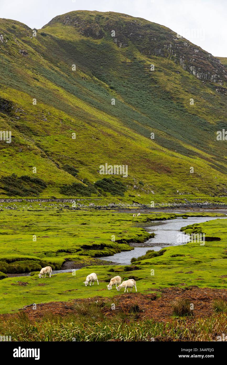 Neist Point at sunset is a breathtaking sight—its lighthouse stands ...