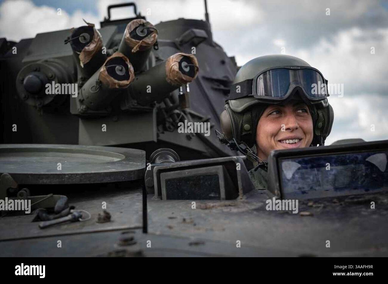 Italian Tank Destroyer Driver (6653280 Stock Photo - Alamy