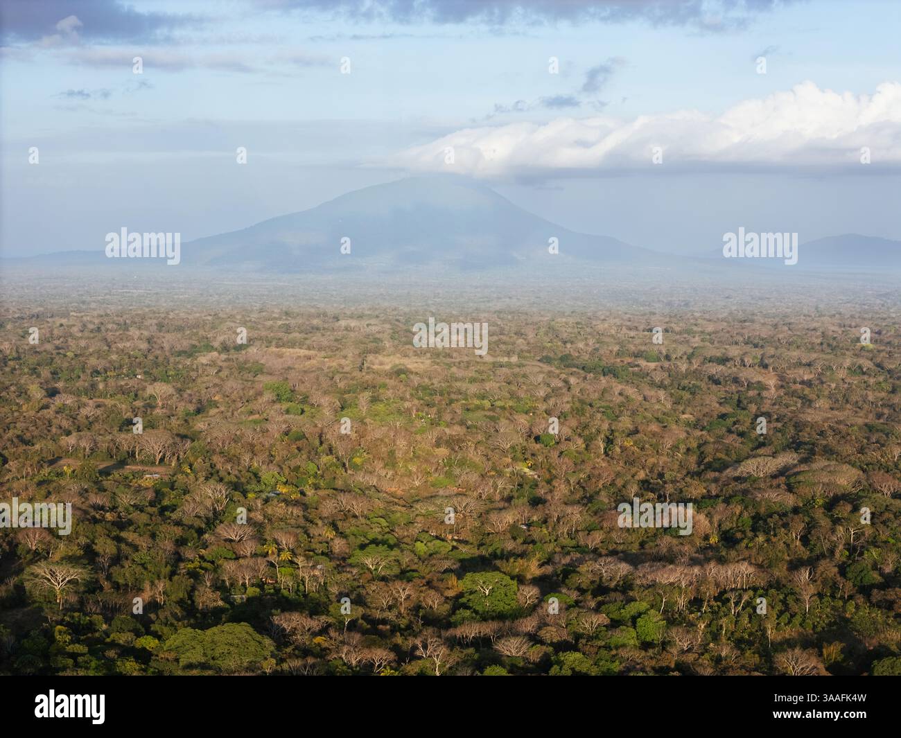 Landscape vast expanse dense green hi-res stock photography and images ...