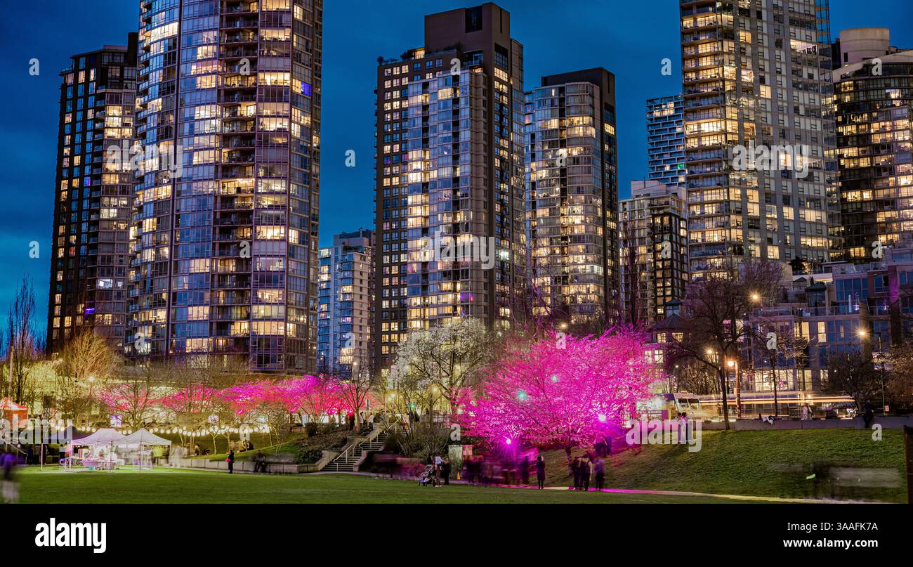 David Lam Park, vancouver, bc, Blossoms after dark festival , March 28 ...