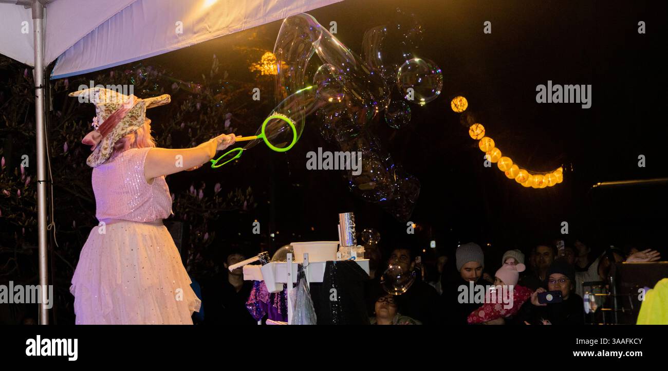 David Lam Park, 1300 Pacific Blv, Vancouver, BC, Ash Bubblez at ...