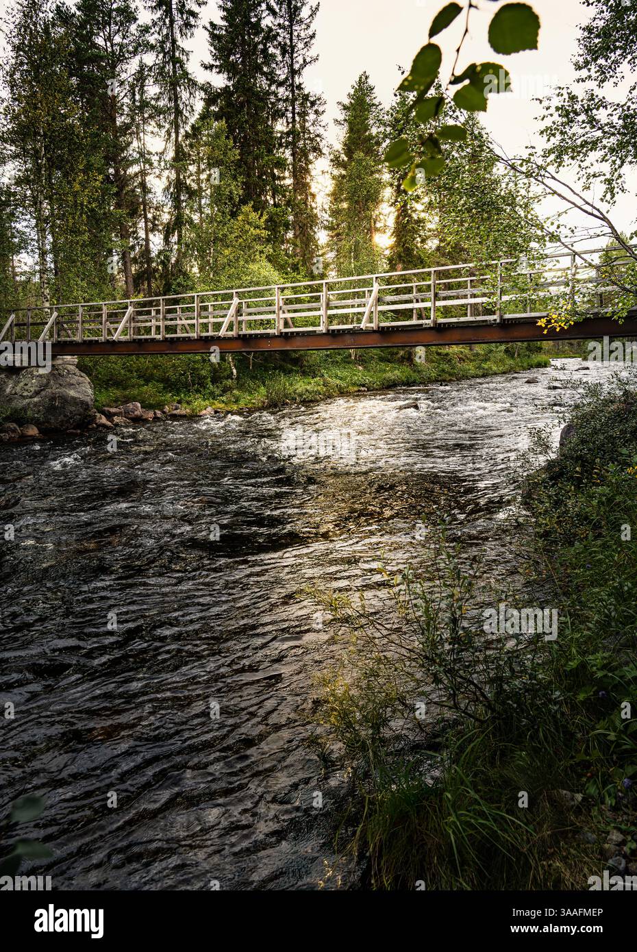 Rustic wooden steel footbridge connects hiking trails over the Storån ...