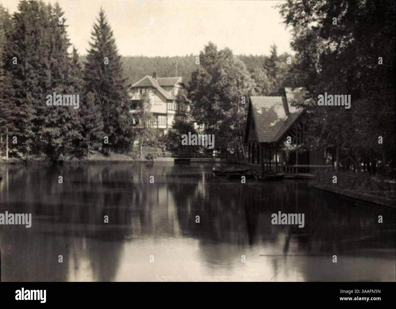 J Simonsen - Bad Sachsa. Partie am Schmelzteich (80505 um 1925 Stock ...