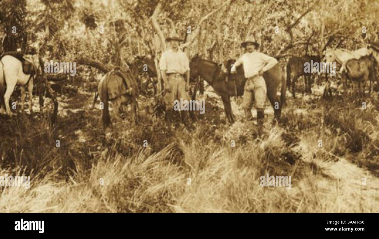 Jack Fawcett and Raleigh Rimell（1925） Stock Photo - Alamy