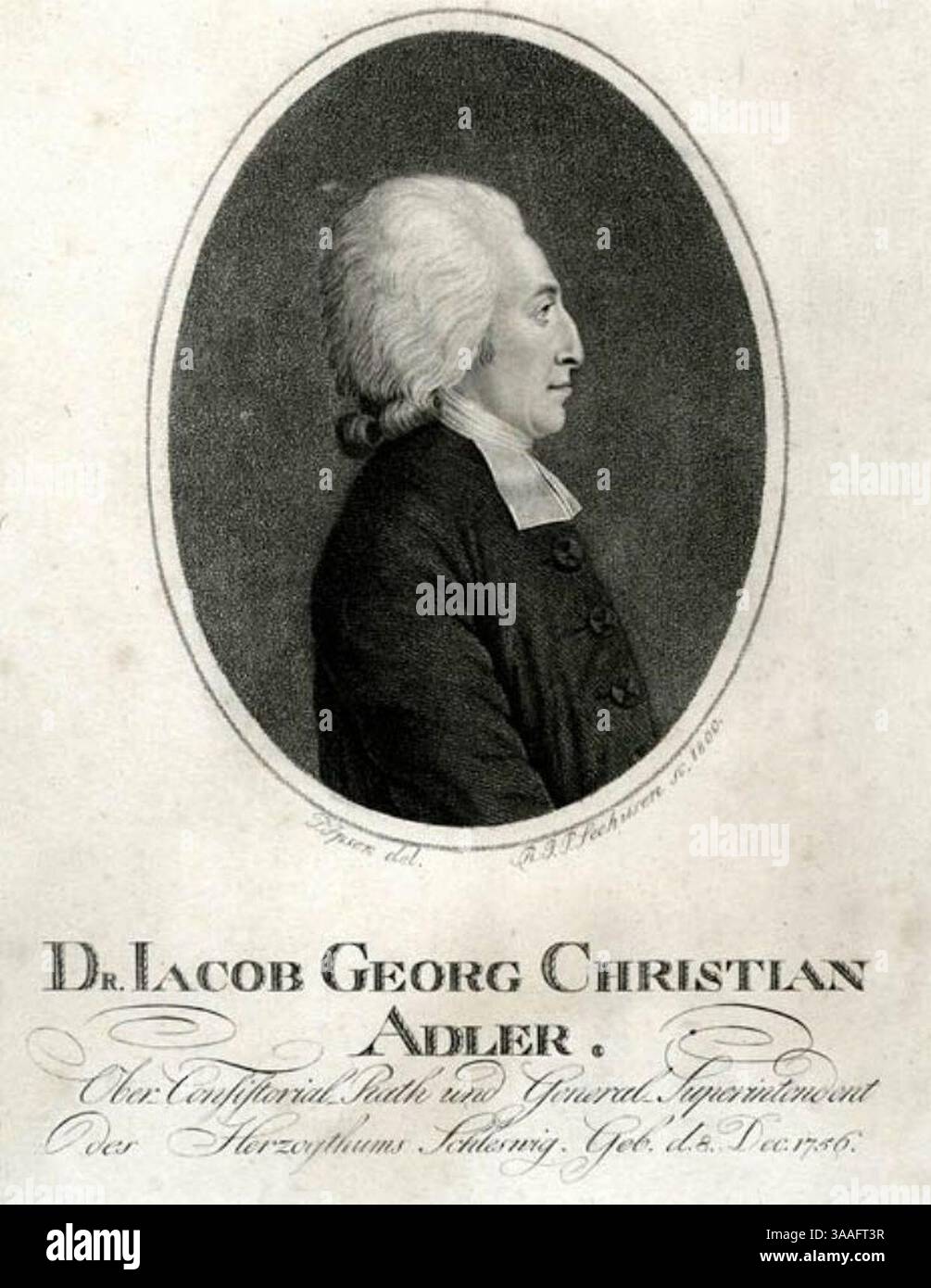 Adler jacob hi-res stock photography and images - Alamy