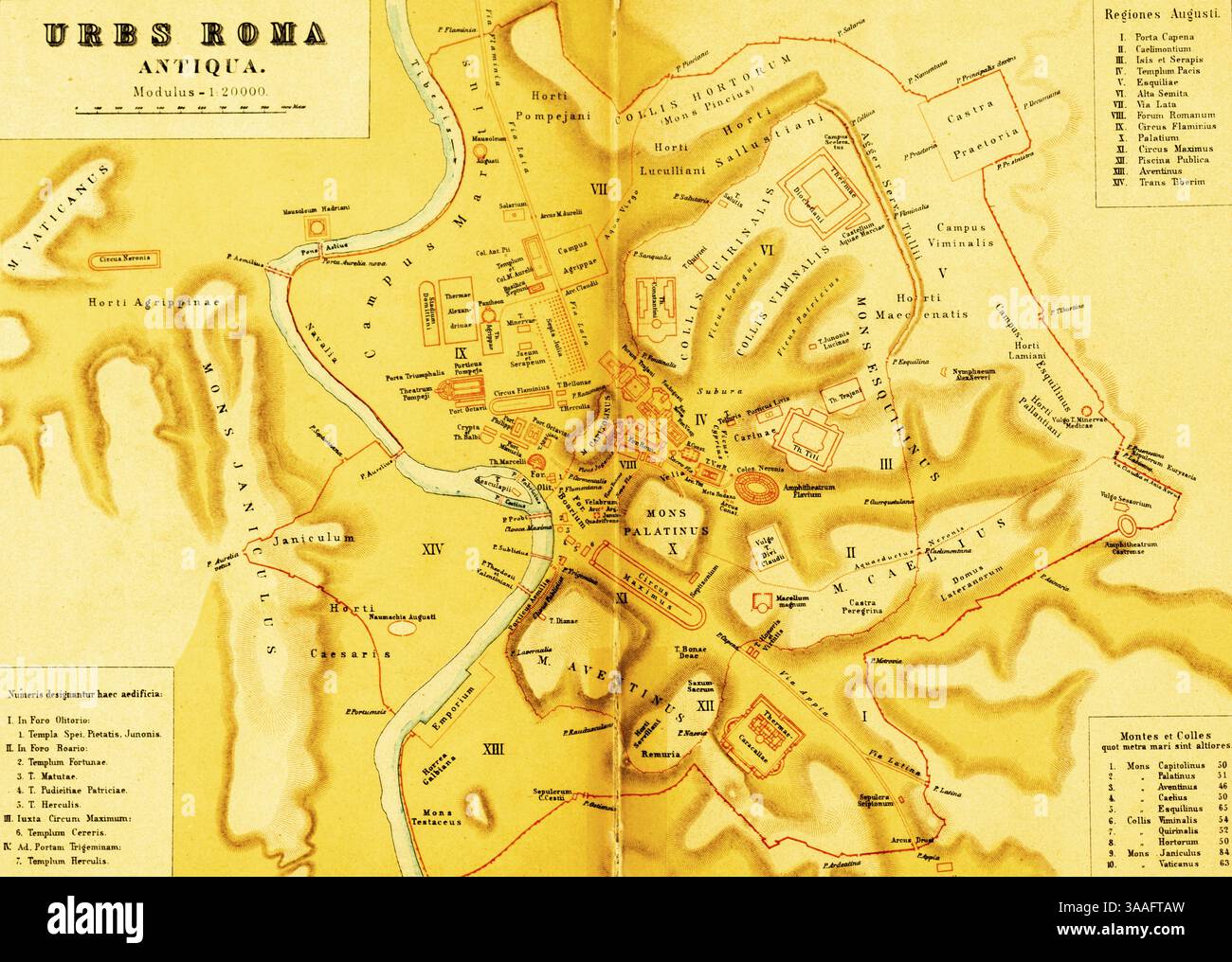 Urbs Roma Antiqua on the Tiber with scale, Colosseum, seven hills of ...