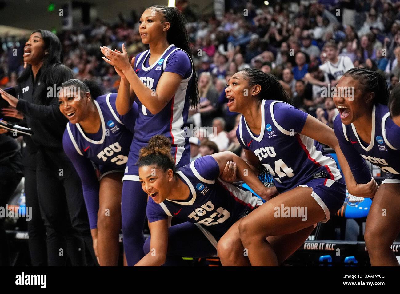 The TCU bench reacts during the second half against Texas in the Elite Eight of the NCAA college ...