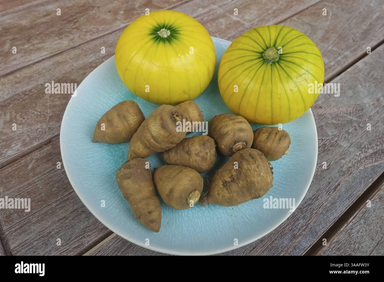 Chaerophyllum bulbosum, chervil turnip, chervil bulb, healthy root ...