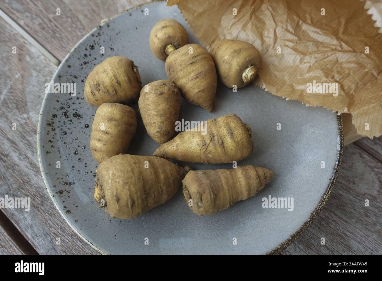 Chaerophyllum bulbosum (Chaerophyllum bulbosum), chervil turnip ...