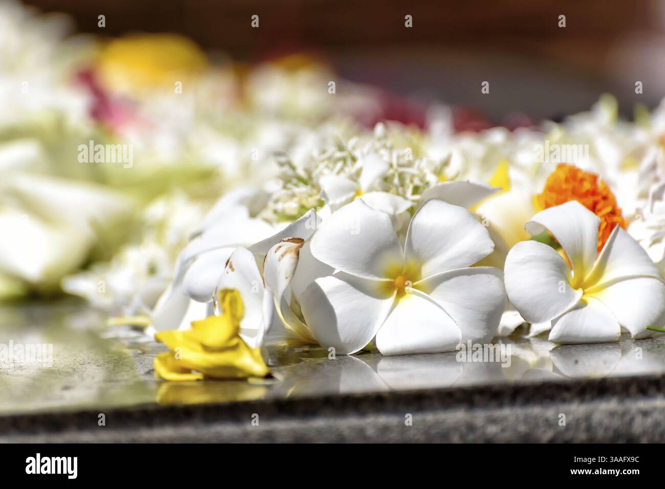 Offerings in a Buddhist temple Stock Photo - Alamy