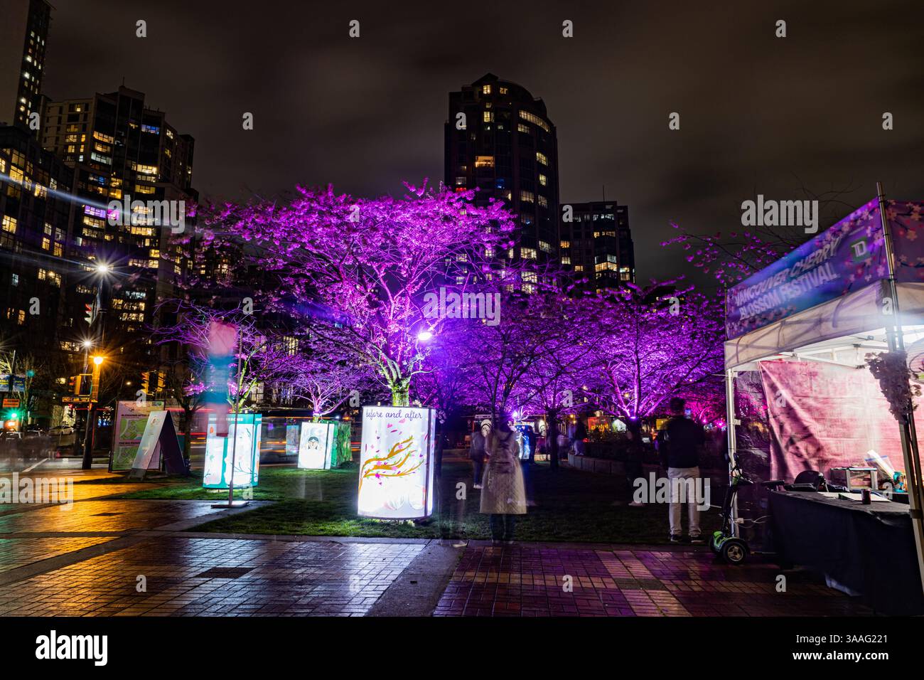 David Lam Park, vancouver, bc, Blossoms after dark festival , March 28 ...