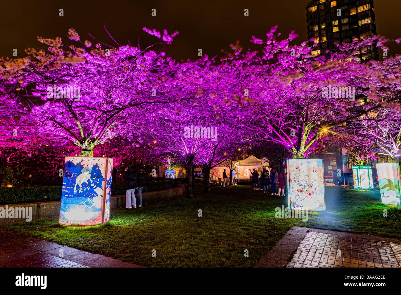 David Lam Park, vancouver, bc, Blossoms after dark festival , March 28 ...