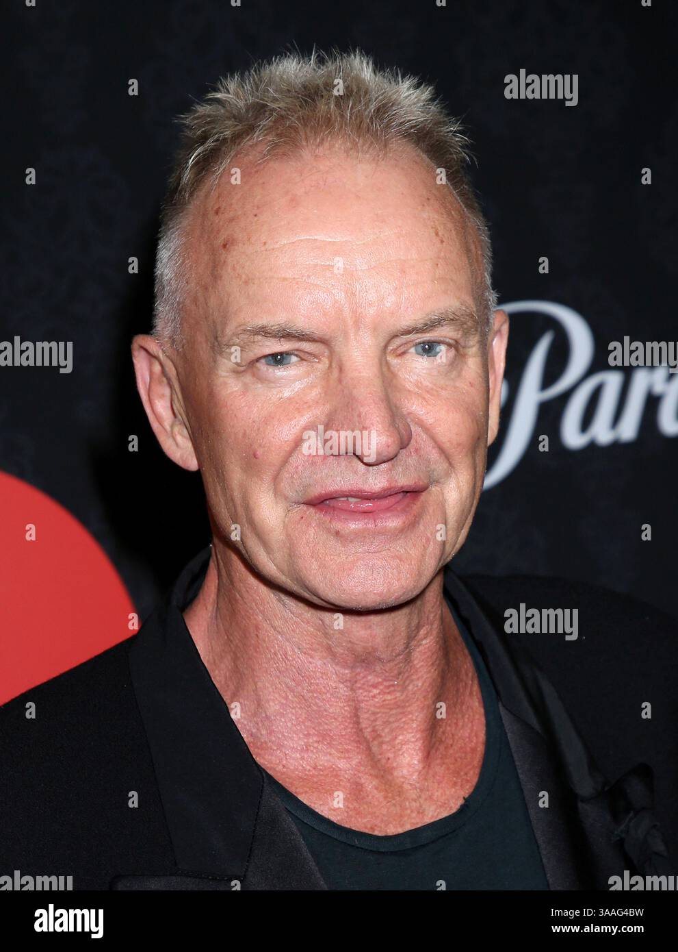 New York City, USA. 31st Mar, 2025. Sting attending the 'MobLand' New ...