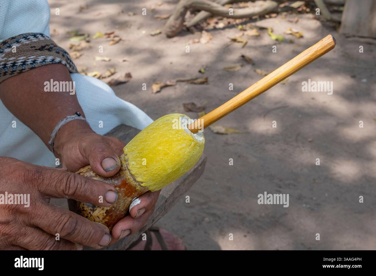 Details of a poporo or lime powder container used to extract alkaloids ...