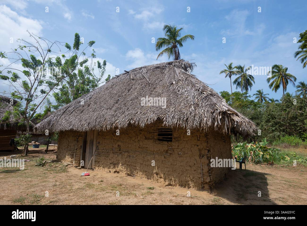 Typical thatch roof and dried mud or pise hut in the Arhuaco Indigenous ...