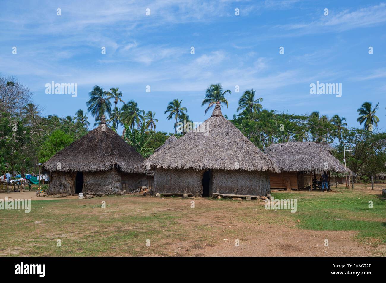 Typical thatch roof and dried mud or pise huts in the Arhuaco ...