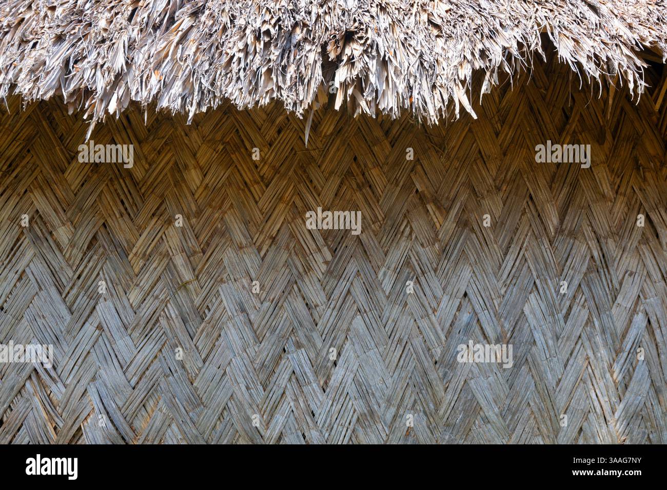 Details of woven palm frond walls and thatch roof hut in the Arhuaco ...