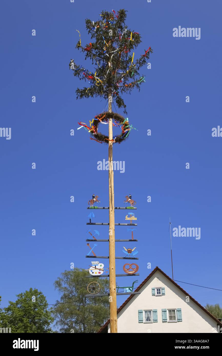 Maypole, customs, symbols of craftsmanship, tradition, decorated fir ...