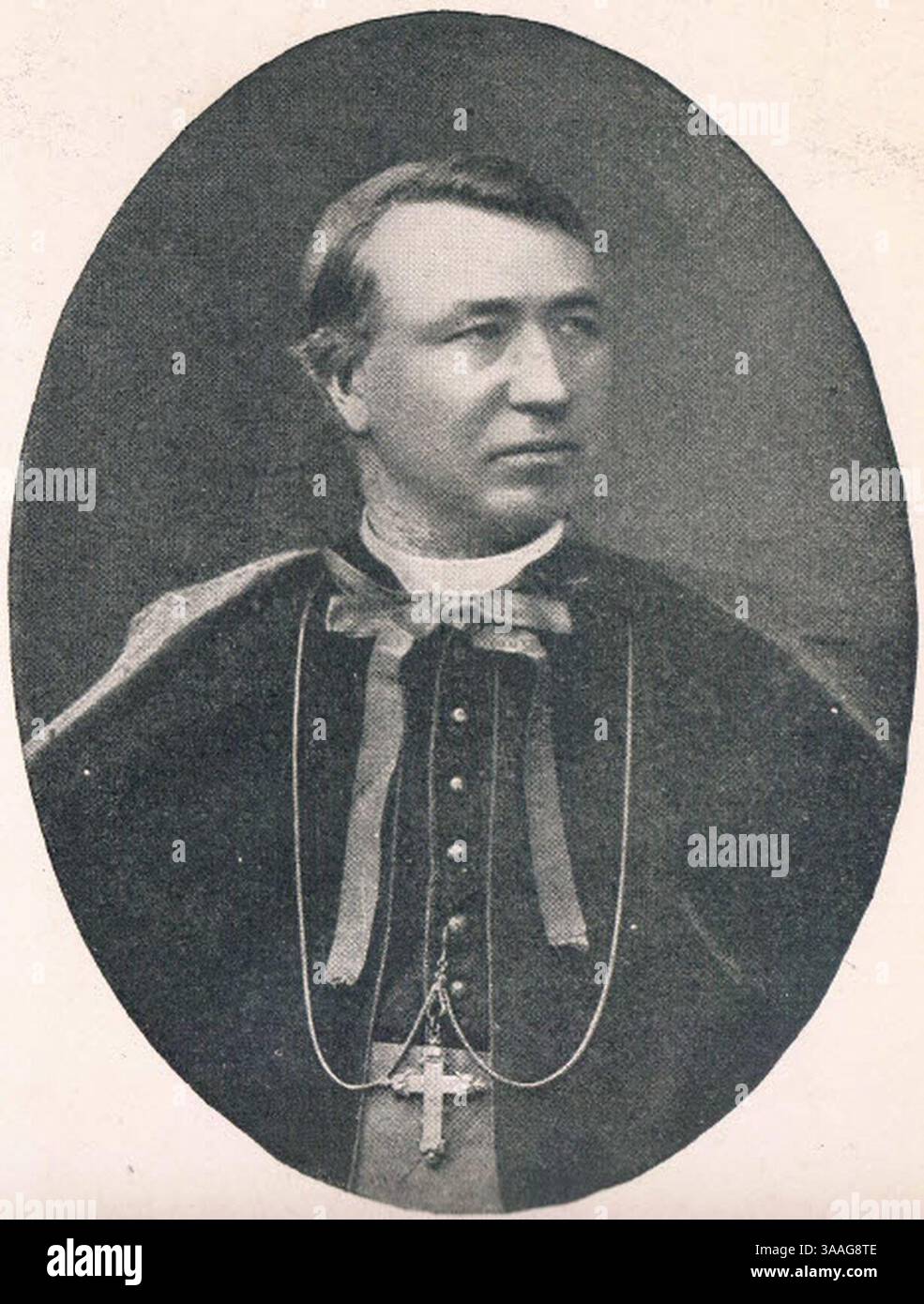 James Browne - Catholic Bishop of Ferns (1884-1917 Stock Photo - Alamy