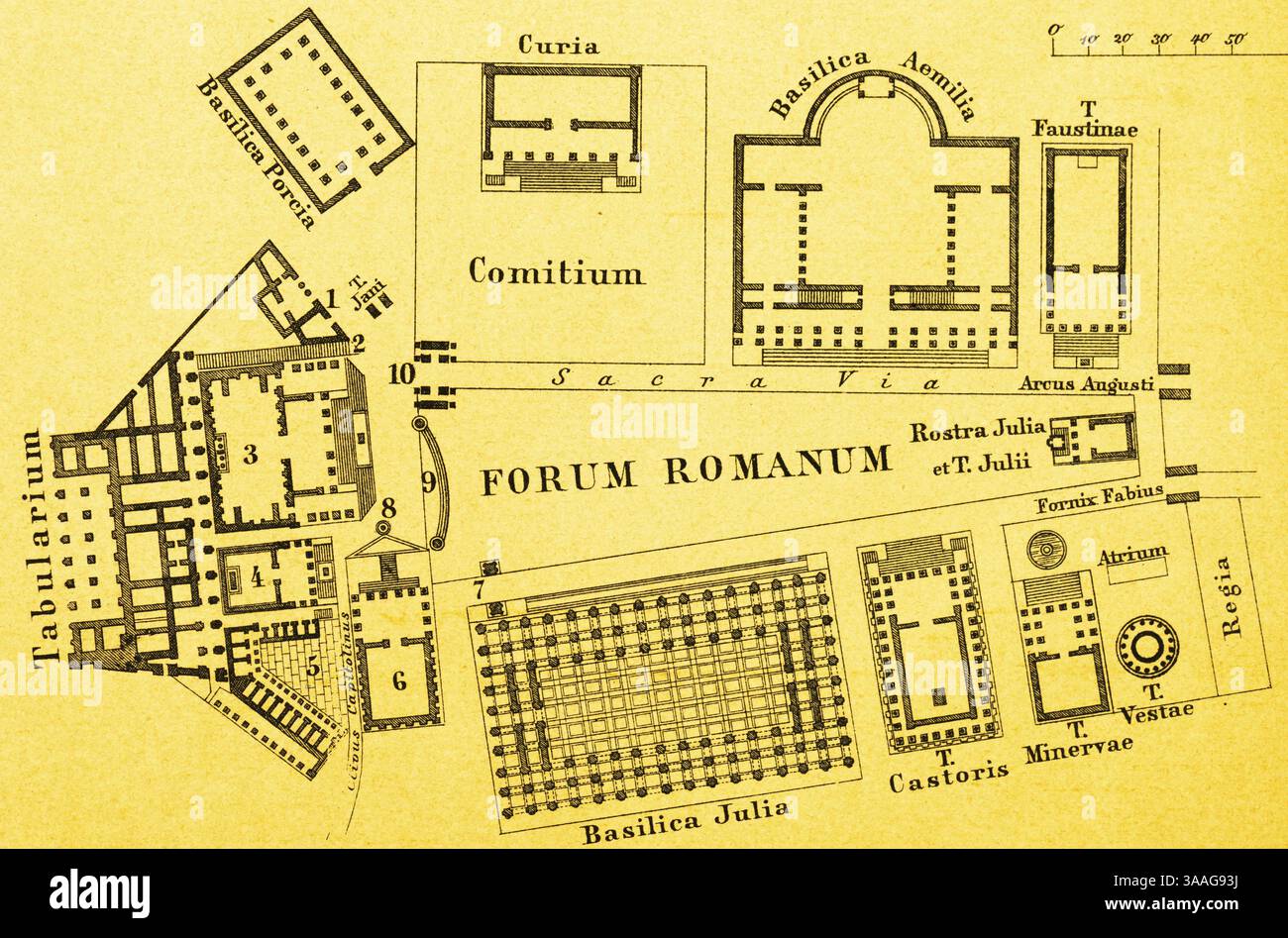 Ancient Rome, public square Forum Romanum, Basilica Julia, State ...